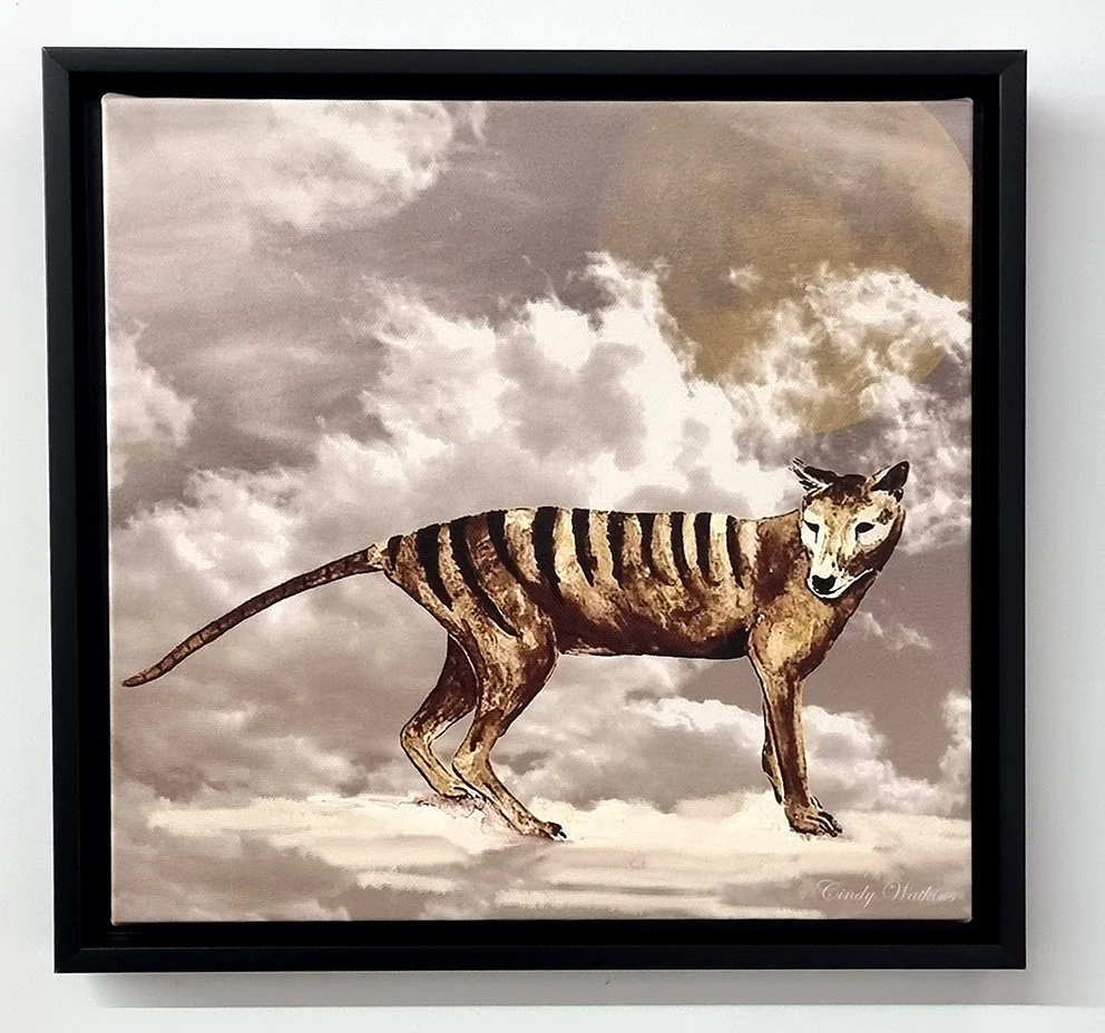 Thylacine Tasmanian Tiger Canvase print — Divine Objects
