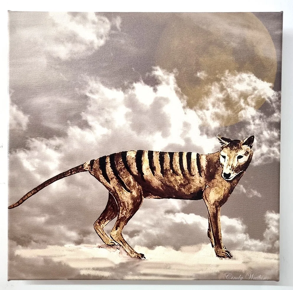 Thylacine Tasmanian Tiger Canvase print — Divine Objects