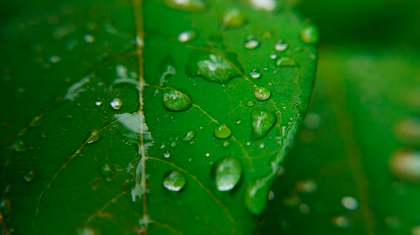 Greenprint Partners