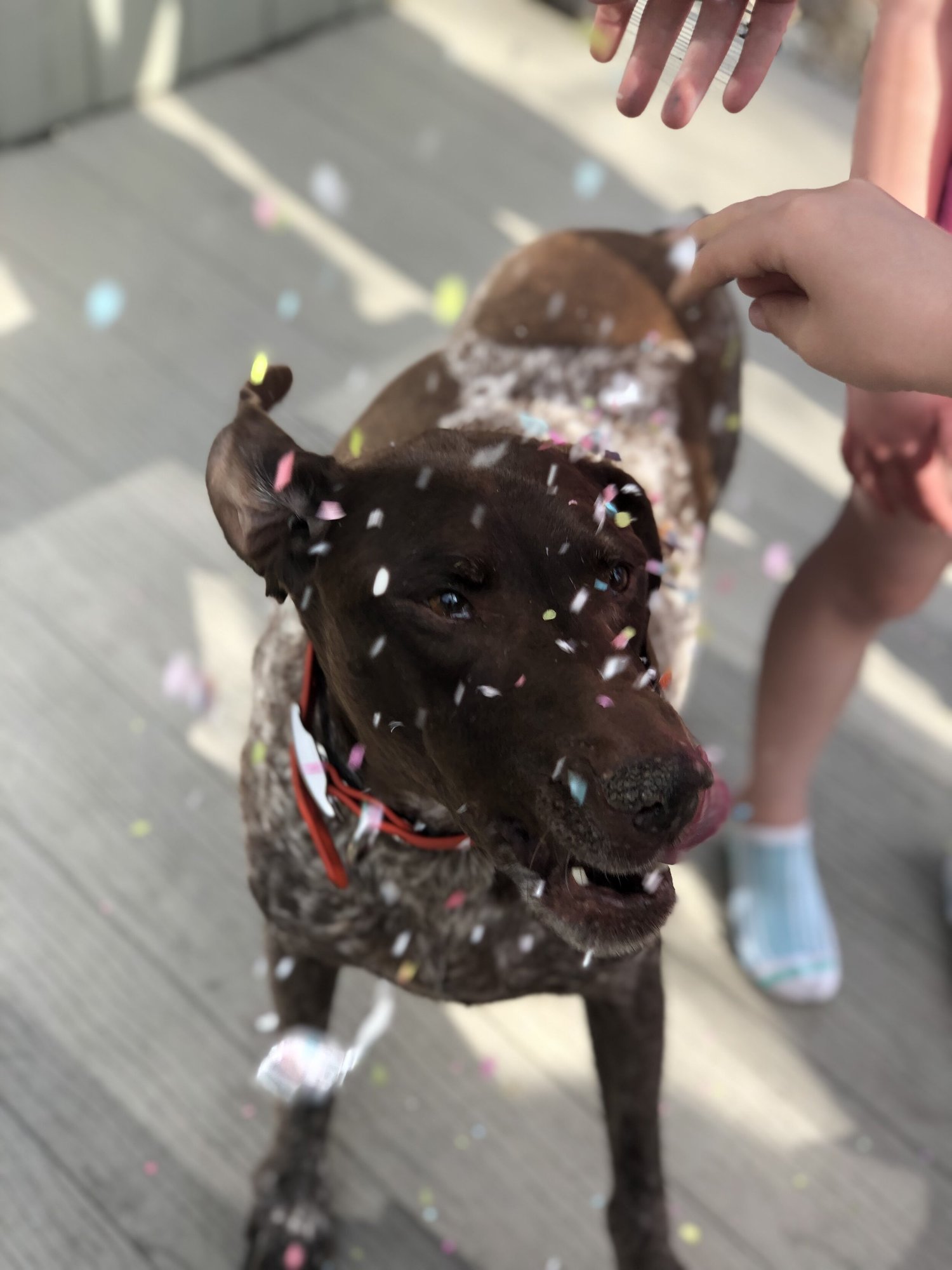 Cascarones! Easter Confetti Egg Tutorial — Fête & Finery