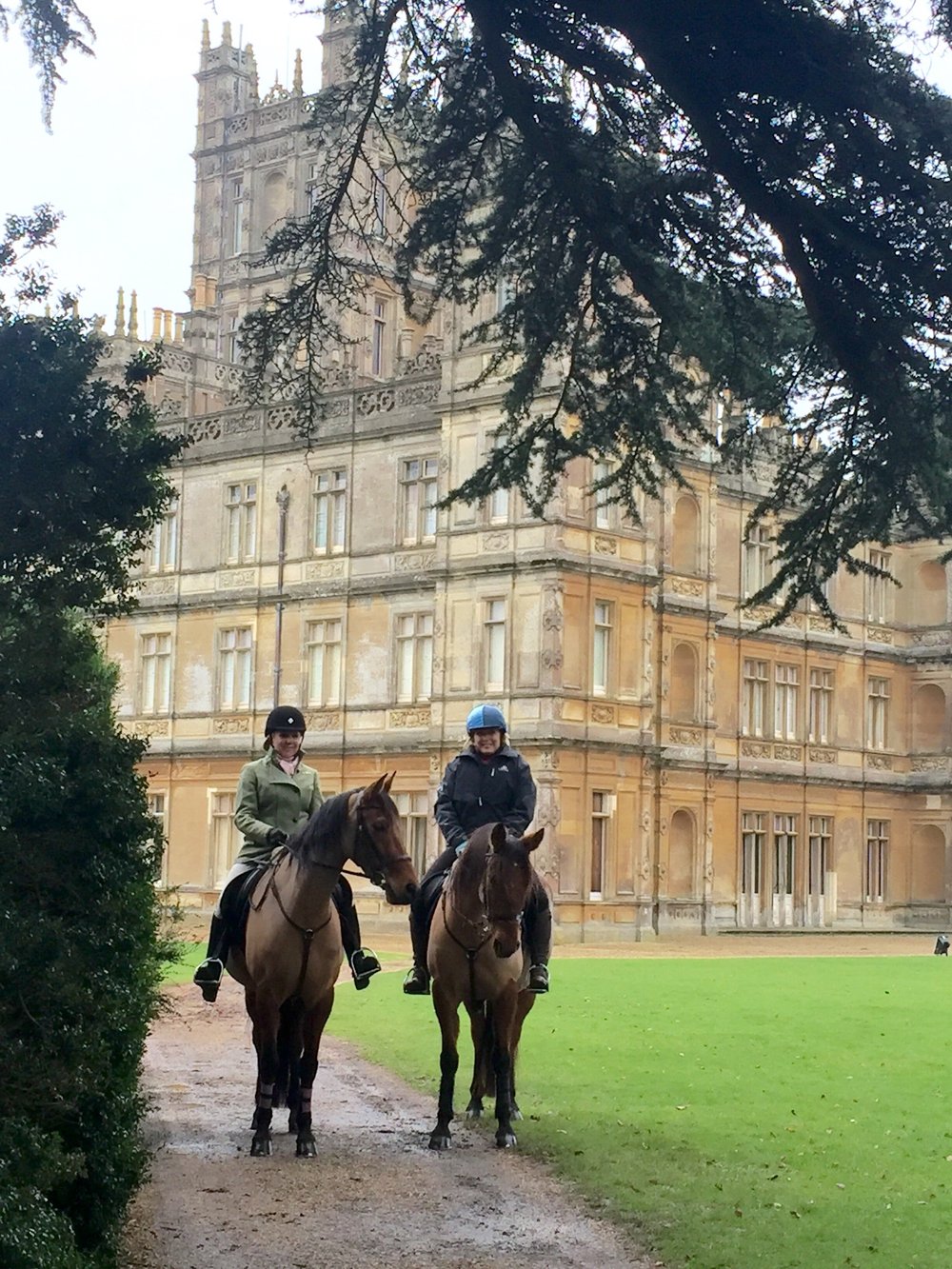 Holly Holden | International Interior Designer, Author, & Speaker