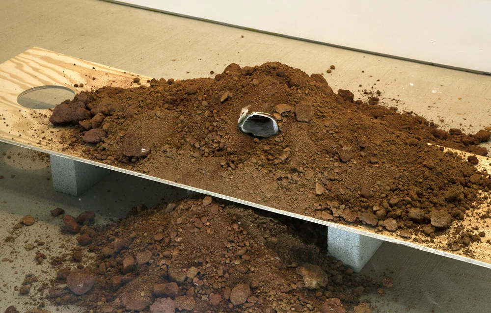 Terri Phillips, Self to Stone — Tops Gallery
