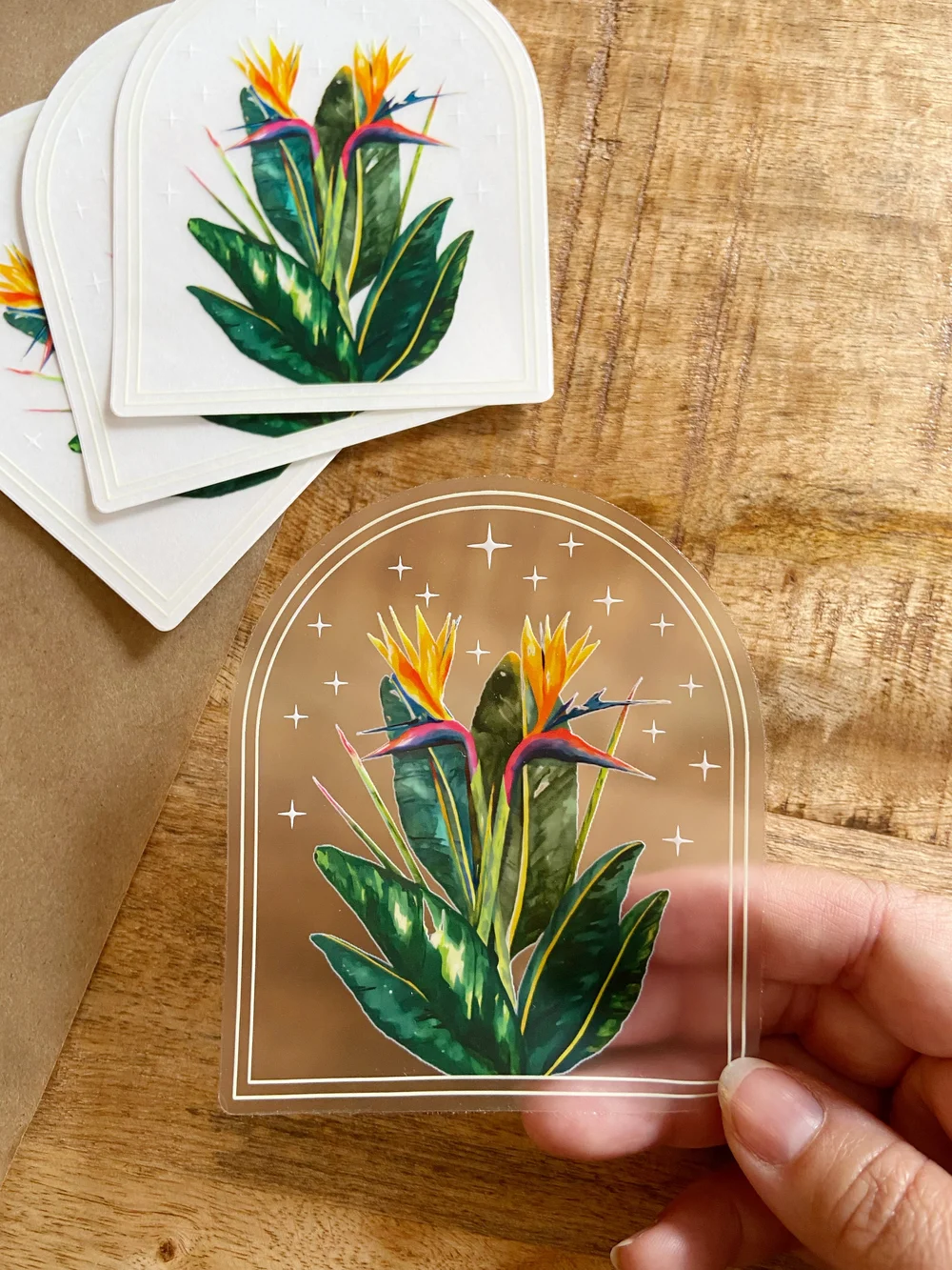 Birds Of Paradise Magic