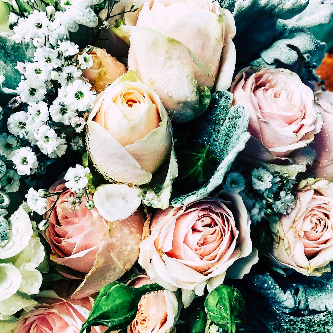 Gisborne Flower Shoppe