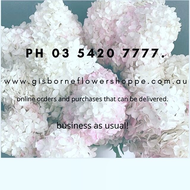 Gisborne Flower Shoppe