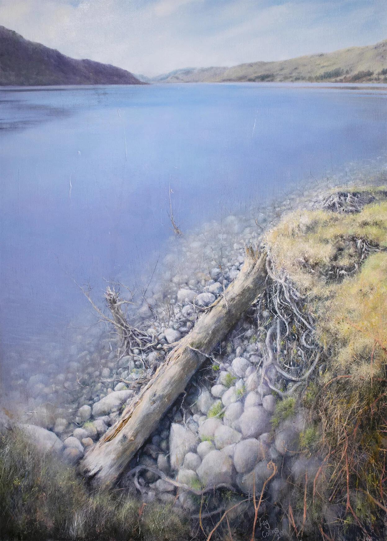 Fay Collins Exhibition - Drawn to Water — NORTHERN LIGHTS GALLERY