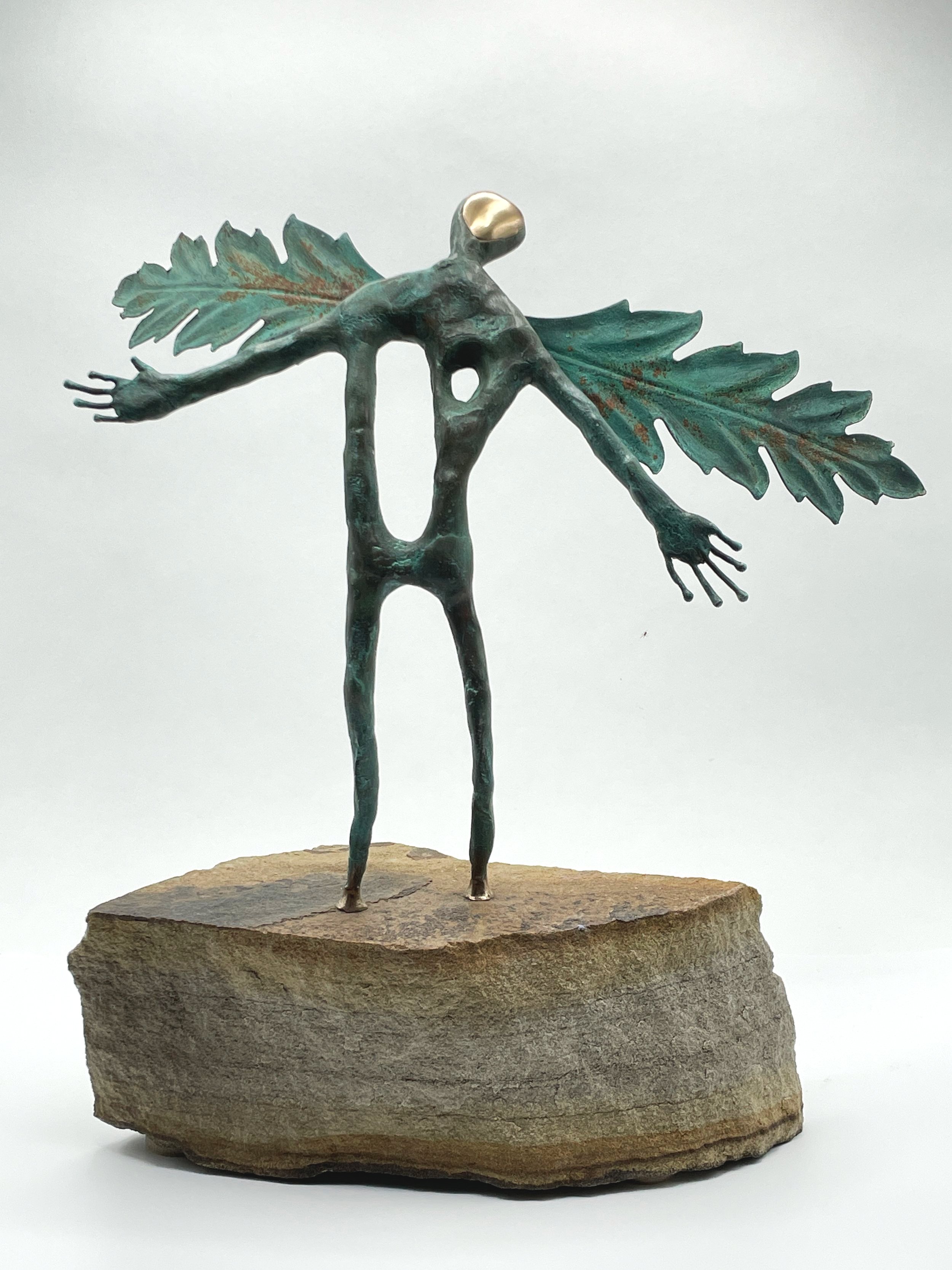 Robin Fox — NORTHERN LIGHTS GALLERY