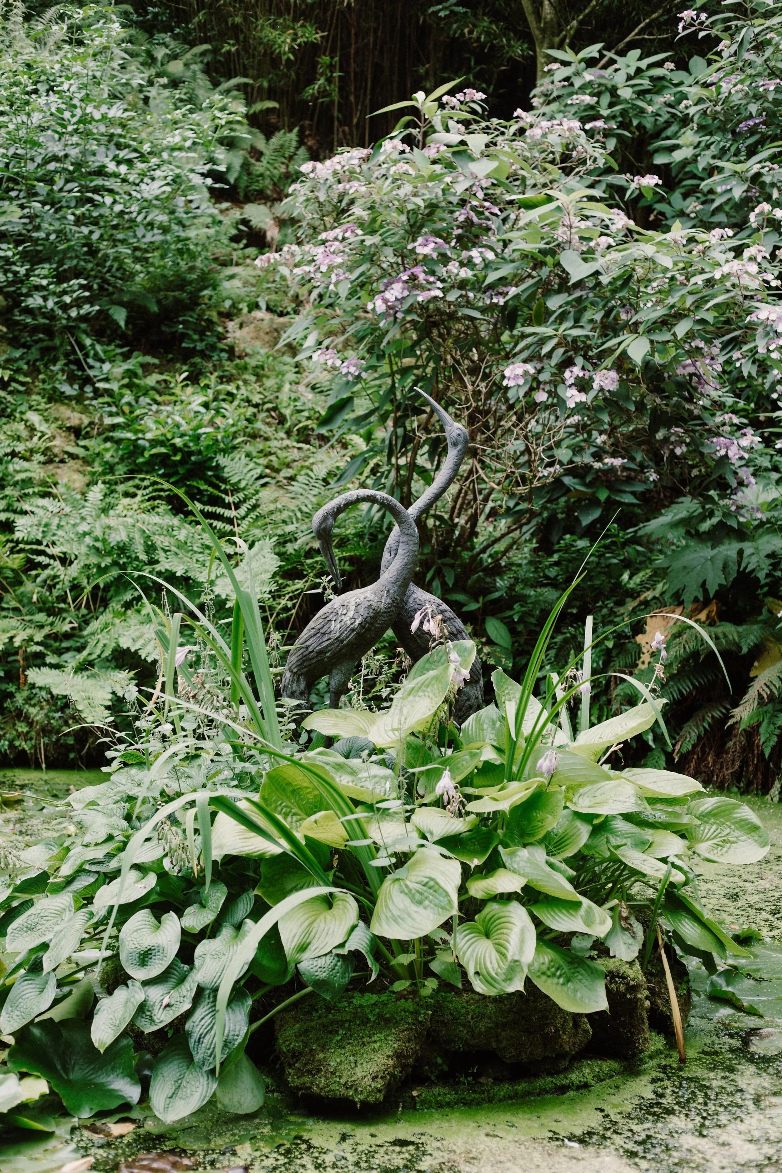 Victorian Pleasure Gardens, Wiltshire | Larmer Tree Gardens — Larmer ...