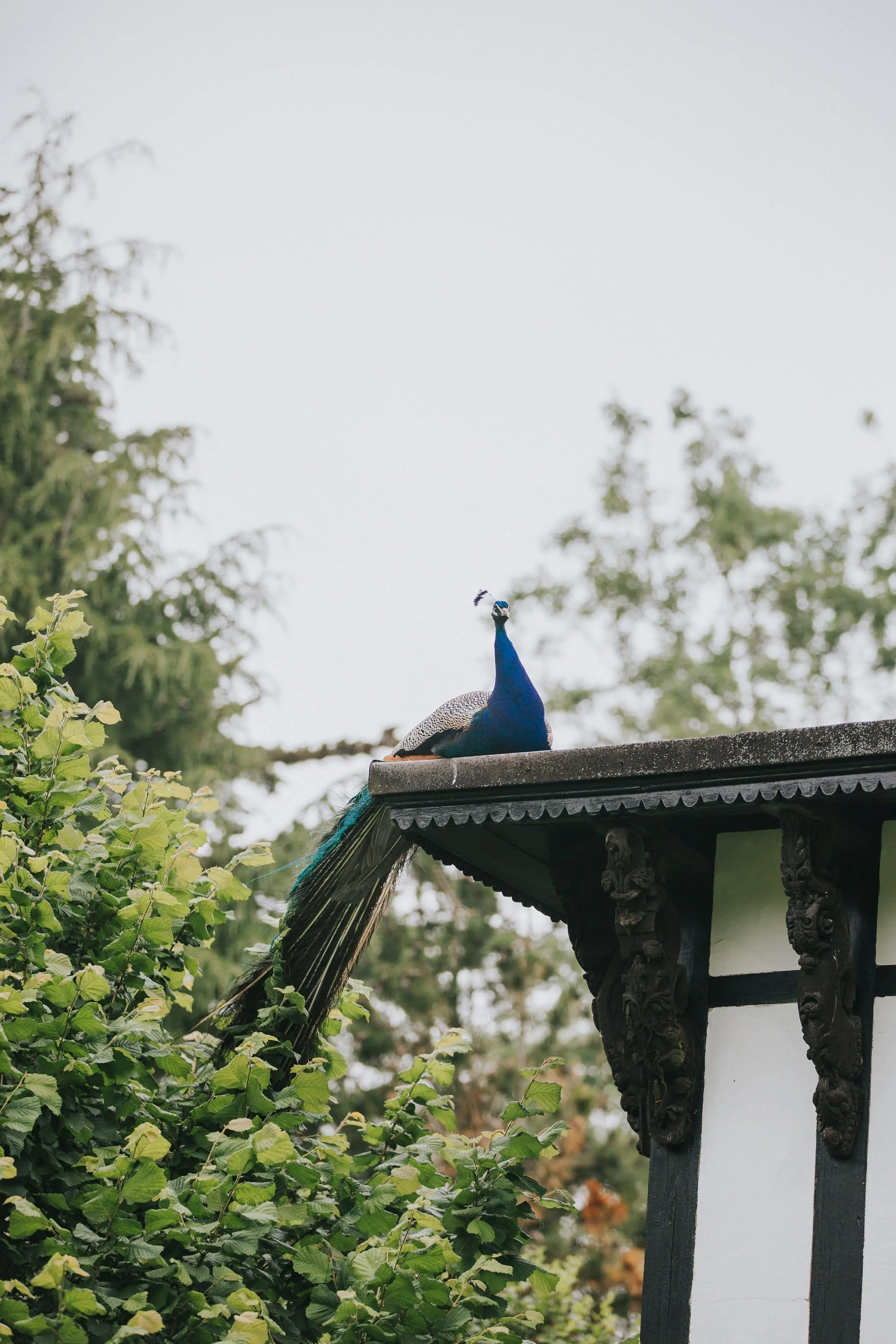 Victorian Pleasure Gardens, Wiltshire | Larmer Tree Gardens — Larmer ...