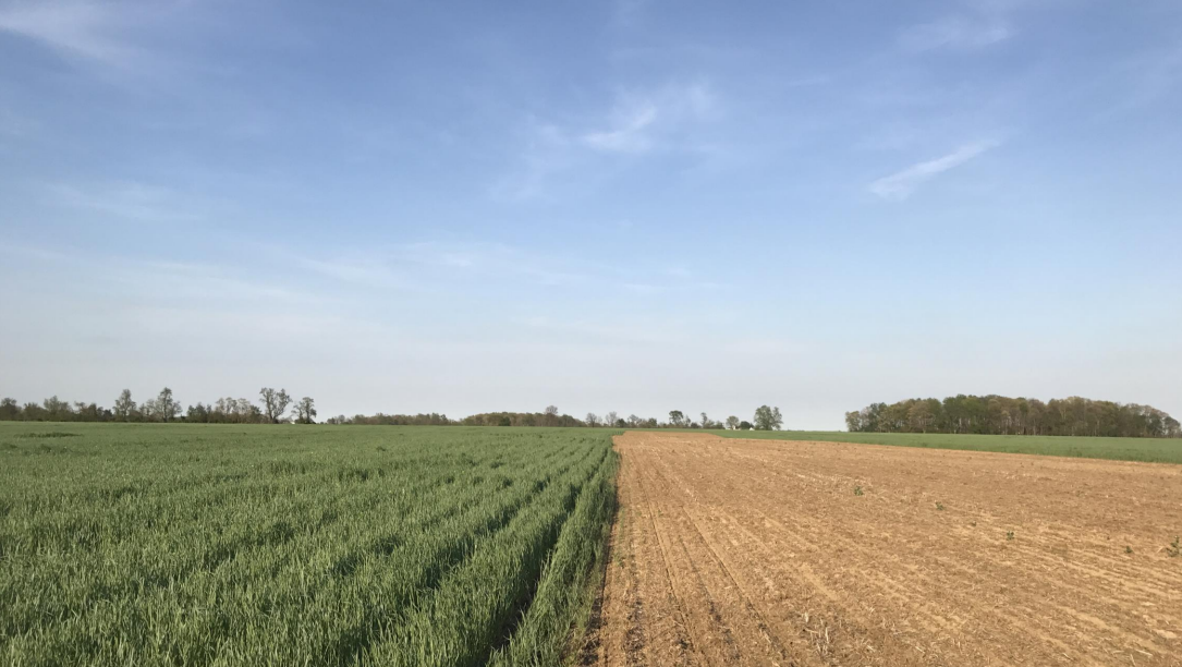 Harborview Farms - Solutions from the Land