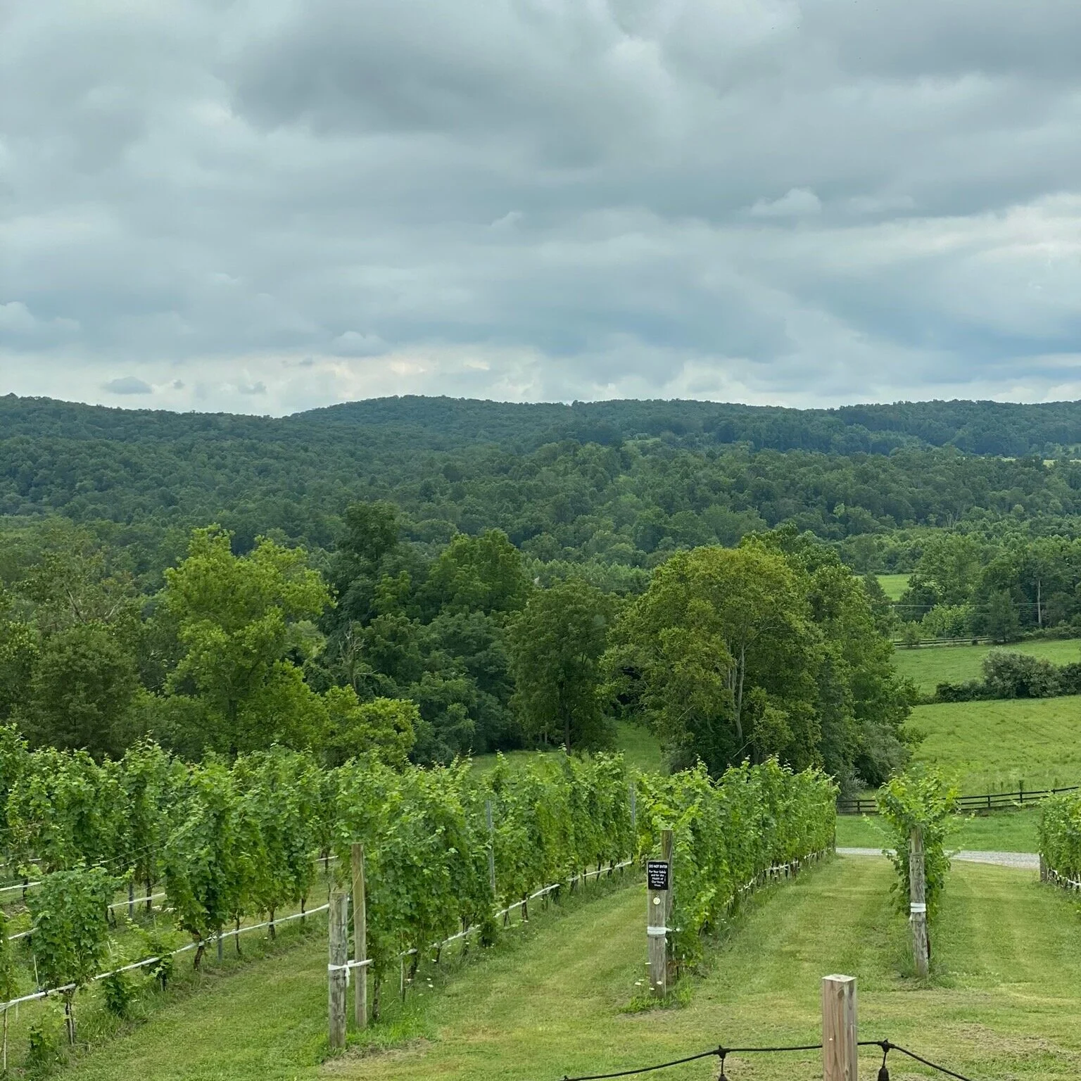Staycation: Middleburg — According to Camille