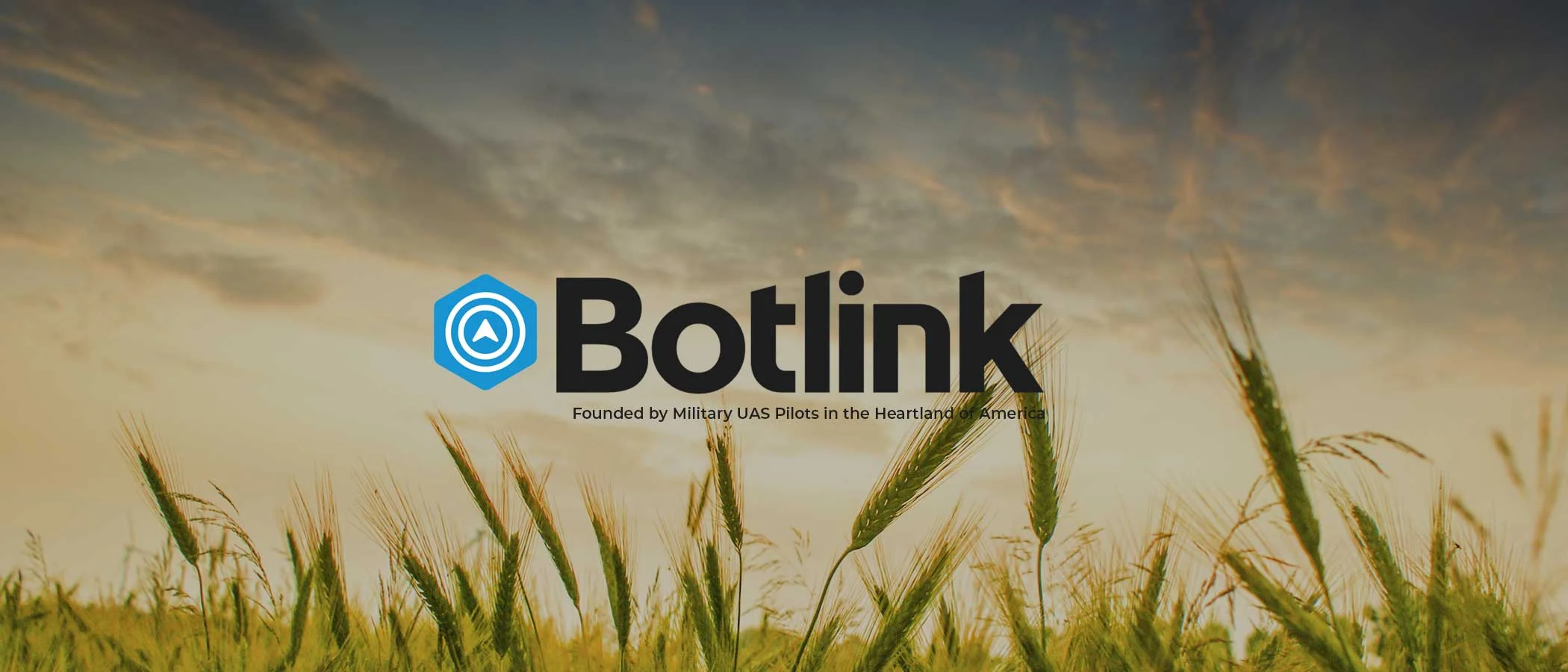 Contact Us - Botlink