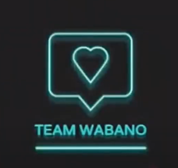 Team Wabano — Youth Action Now