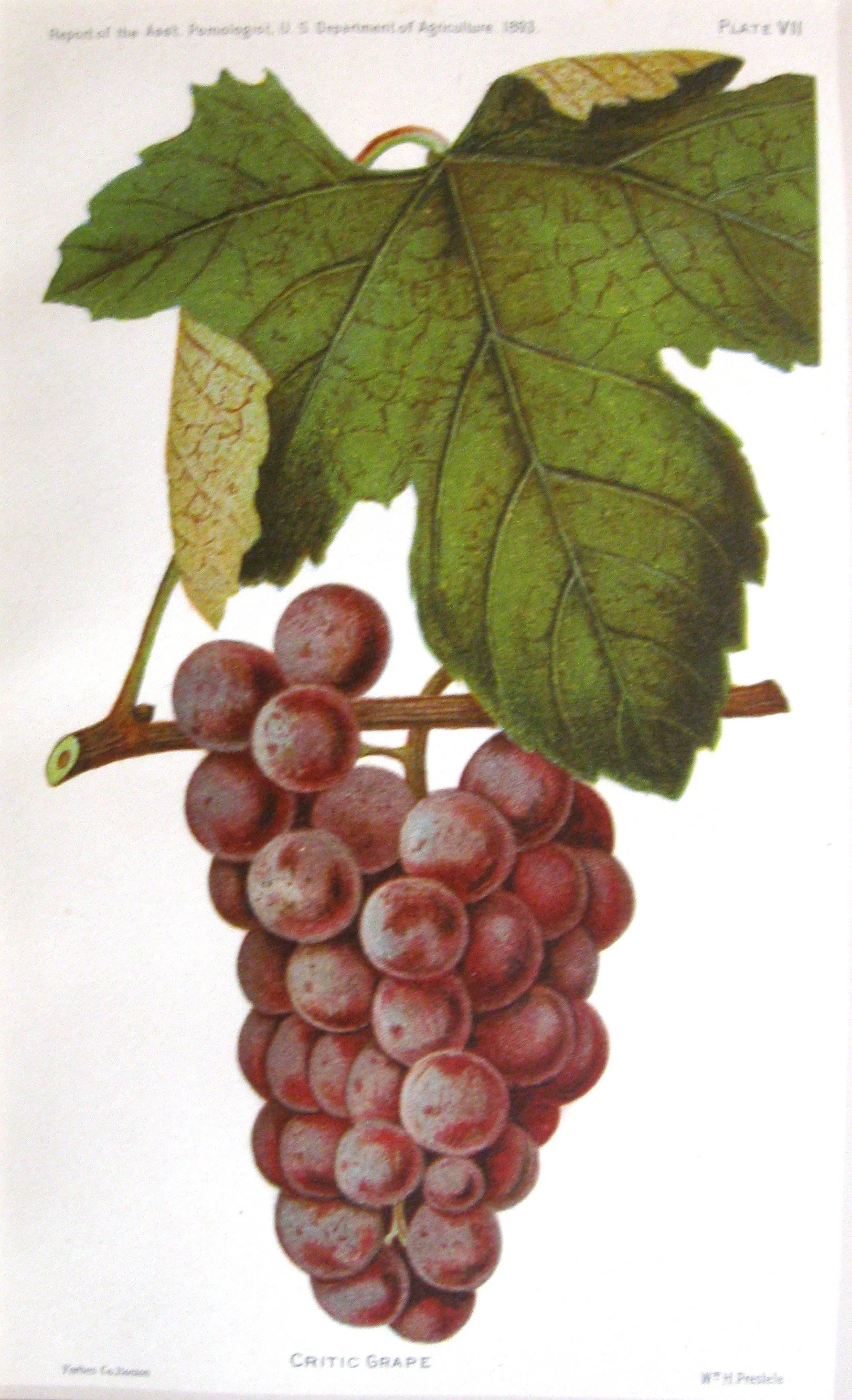 current exhibit — B. BEAMESDERFER GALLERY