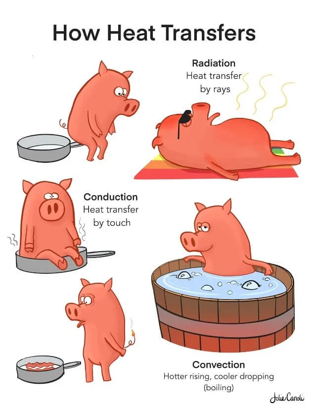 Convection Heat Transfer For Kids