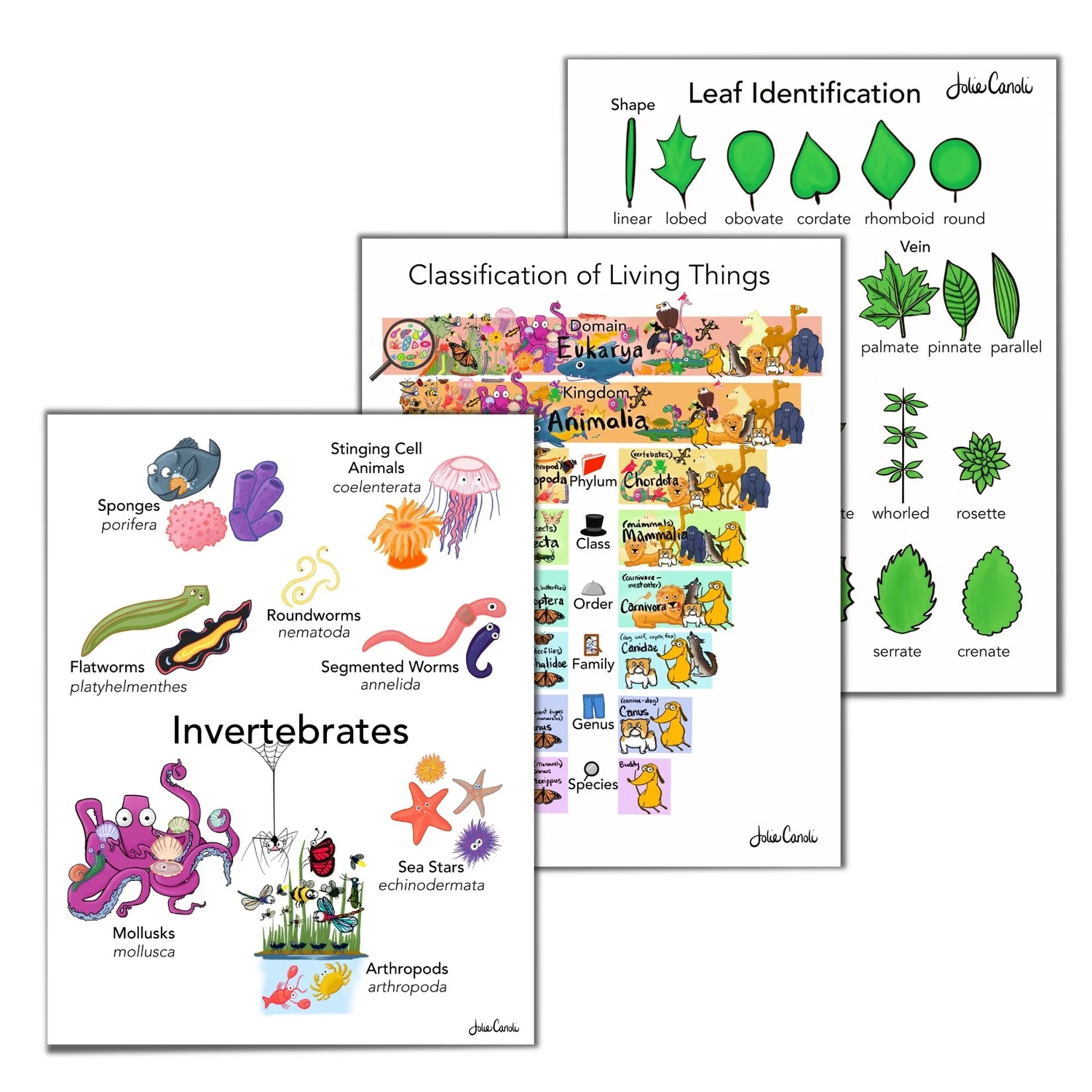 Science Posters