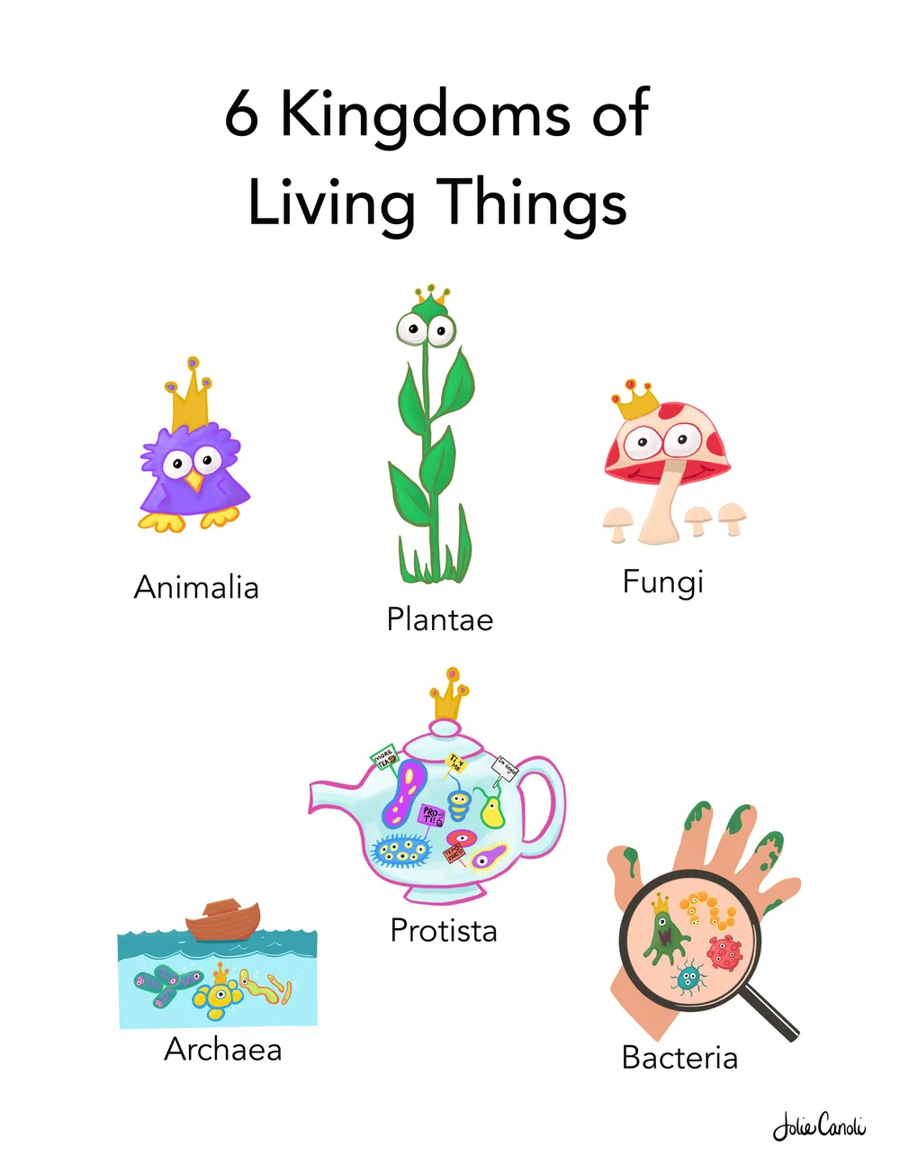 Science Posters For Kids