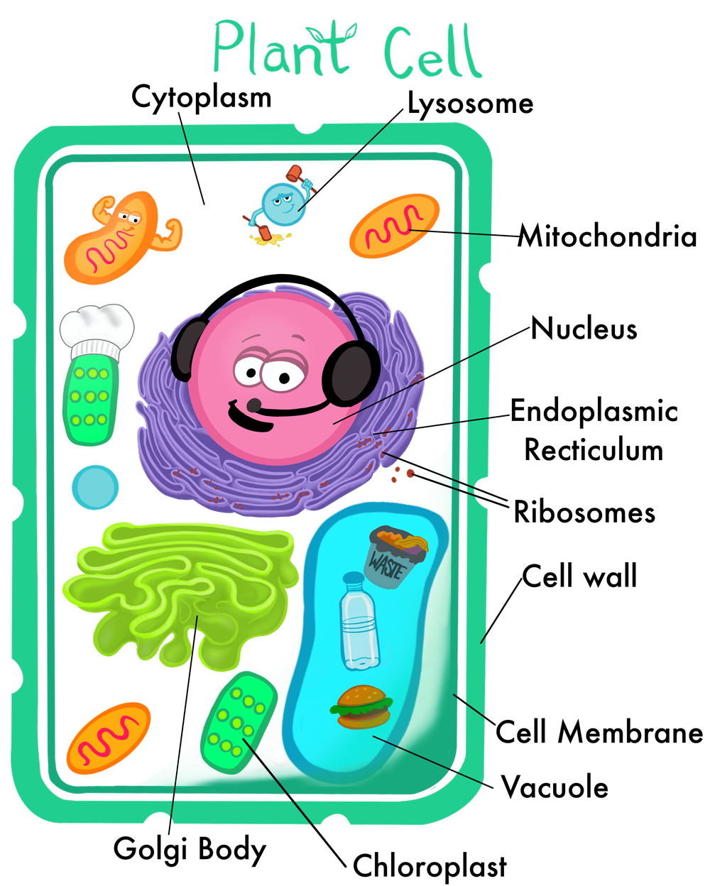 Plant Cell Project Poster