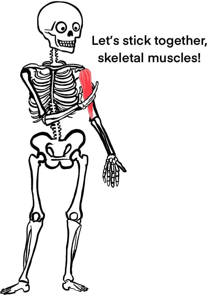 Blog — Jolie Canoli