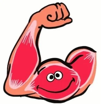 Anatomy: 4 Types of Tissues Explained for Kids — Jolie Canoli