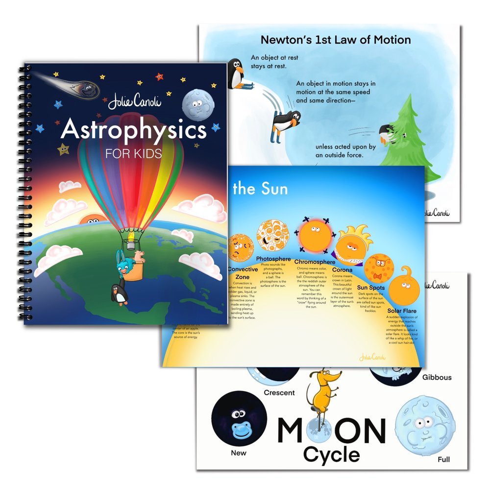 Newtonʻs 3 Laws of Motion — Jolie Canoli