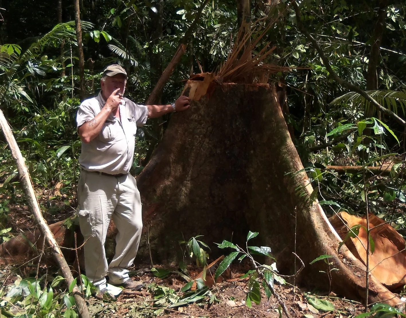 About Us — DMG Hardwoods