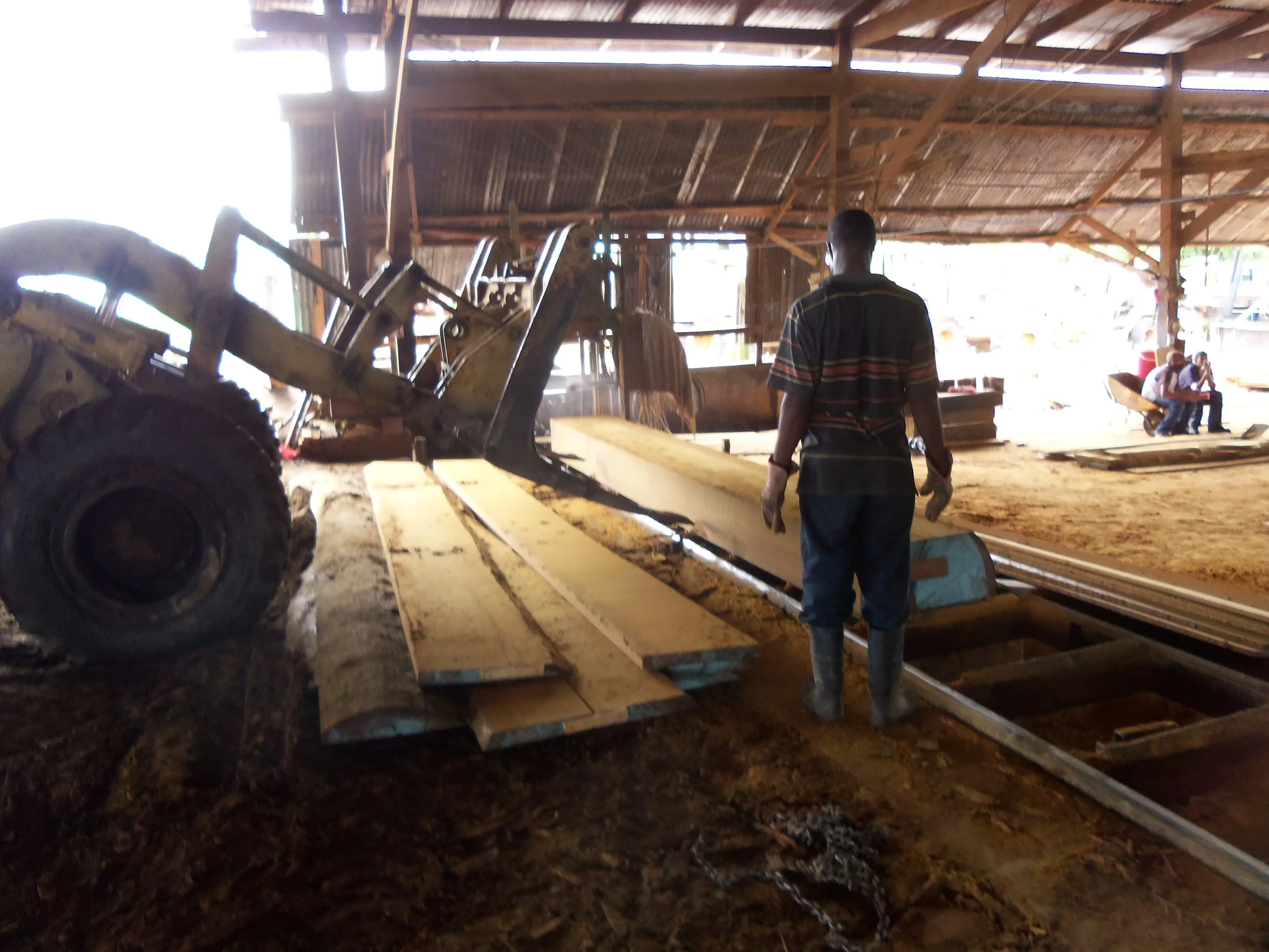 Suriname Trip Gallery — DMG Hardwoods