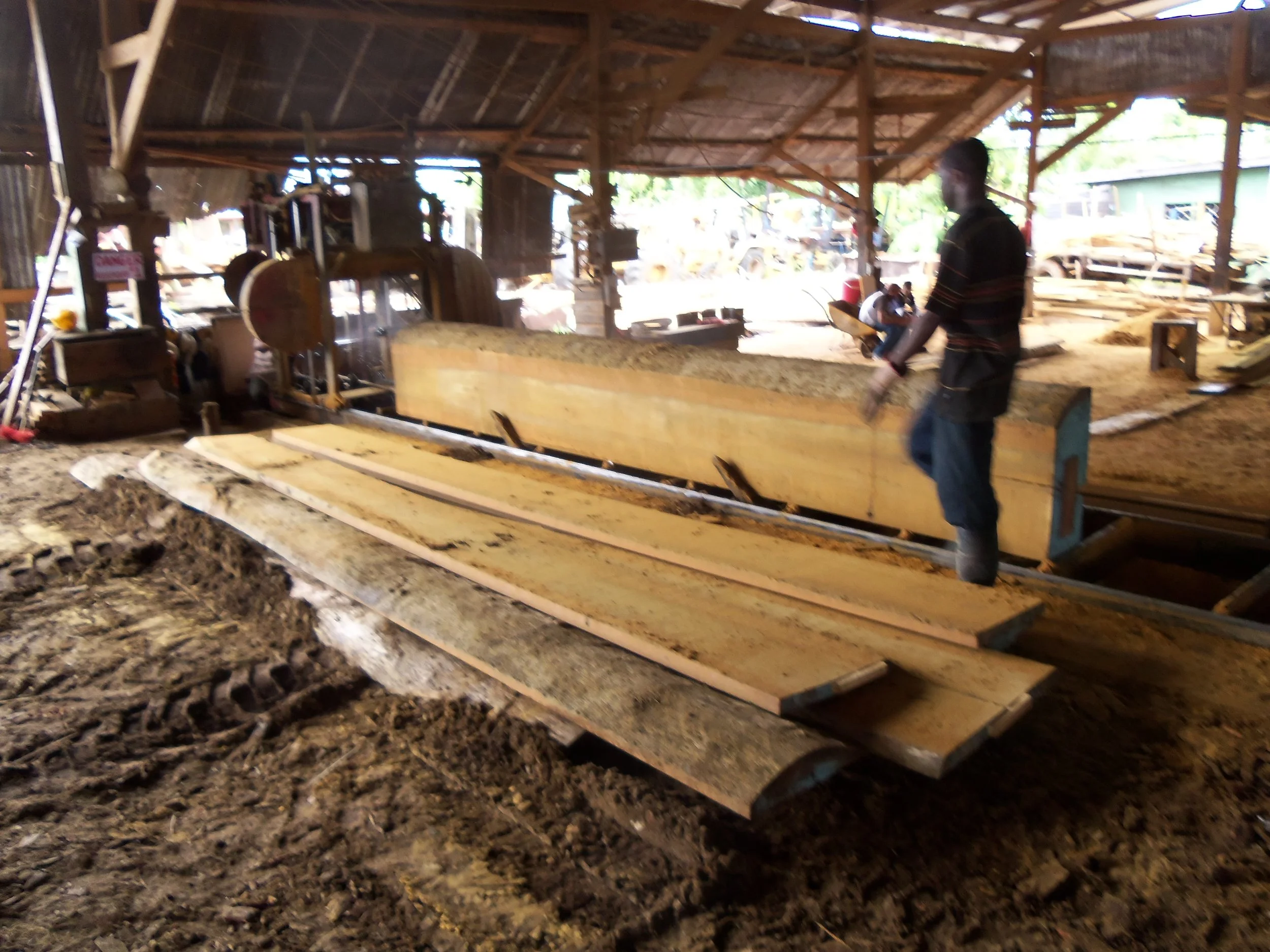 Suriname Trip Gallery — DMG Hardwoods