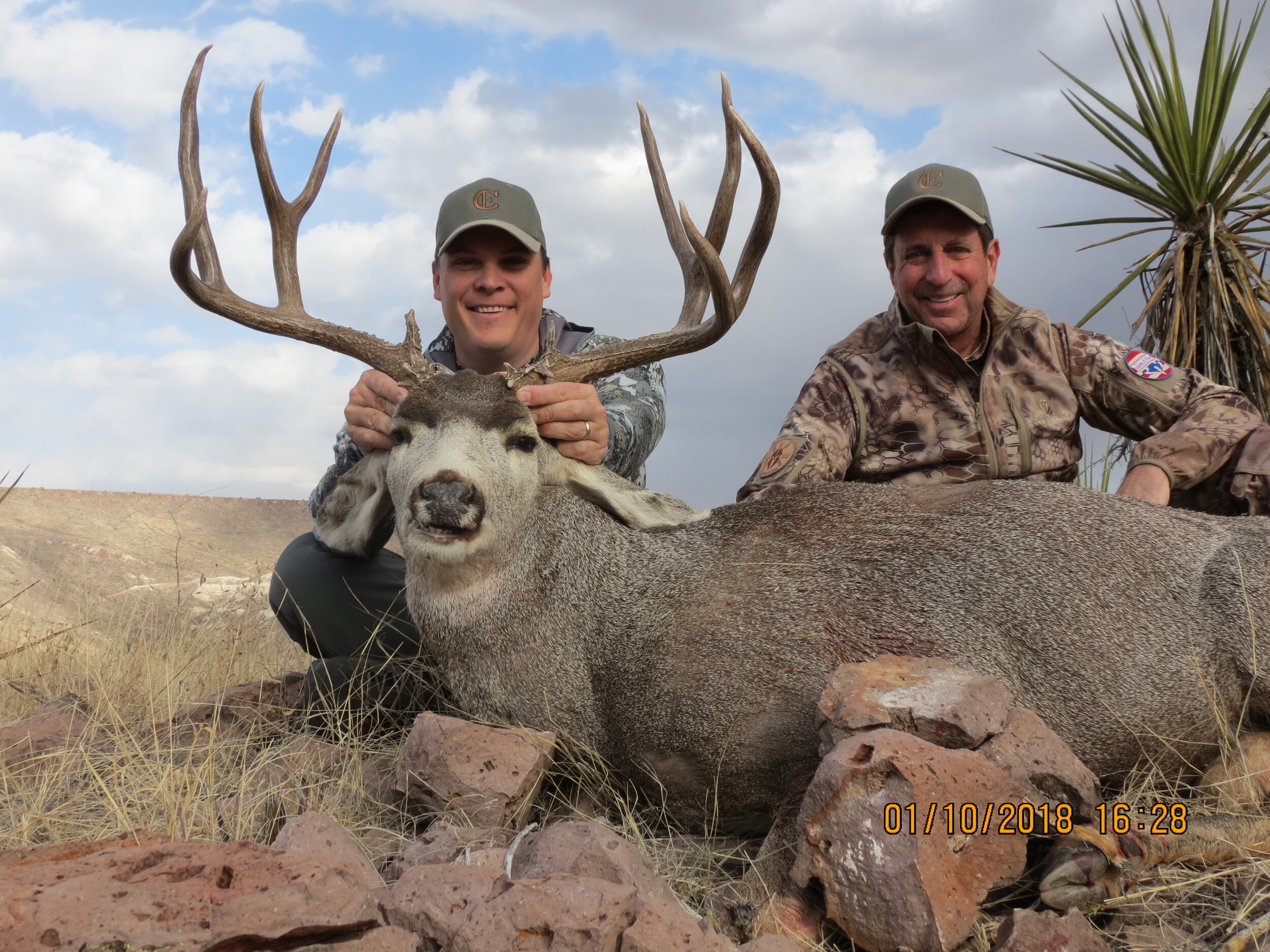 Trophy Mule Deer — El Cielo Hunting Ranch