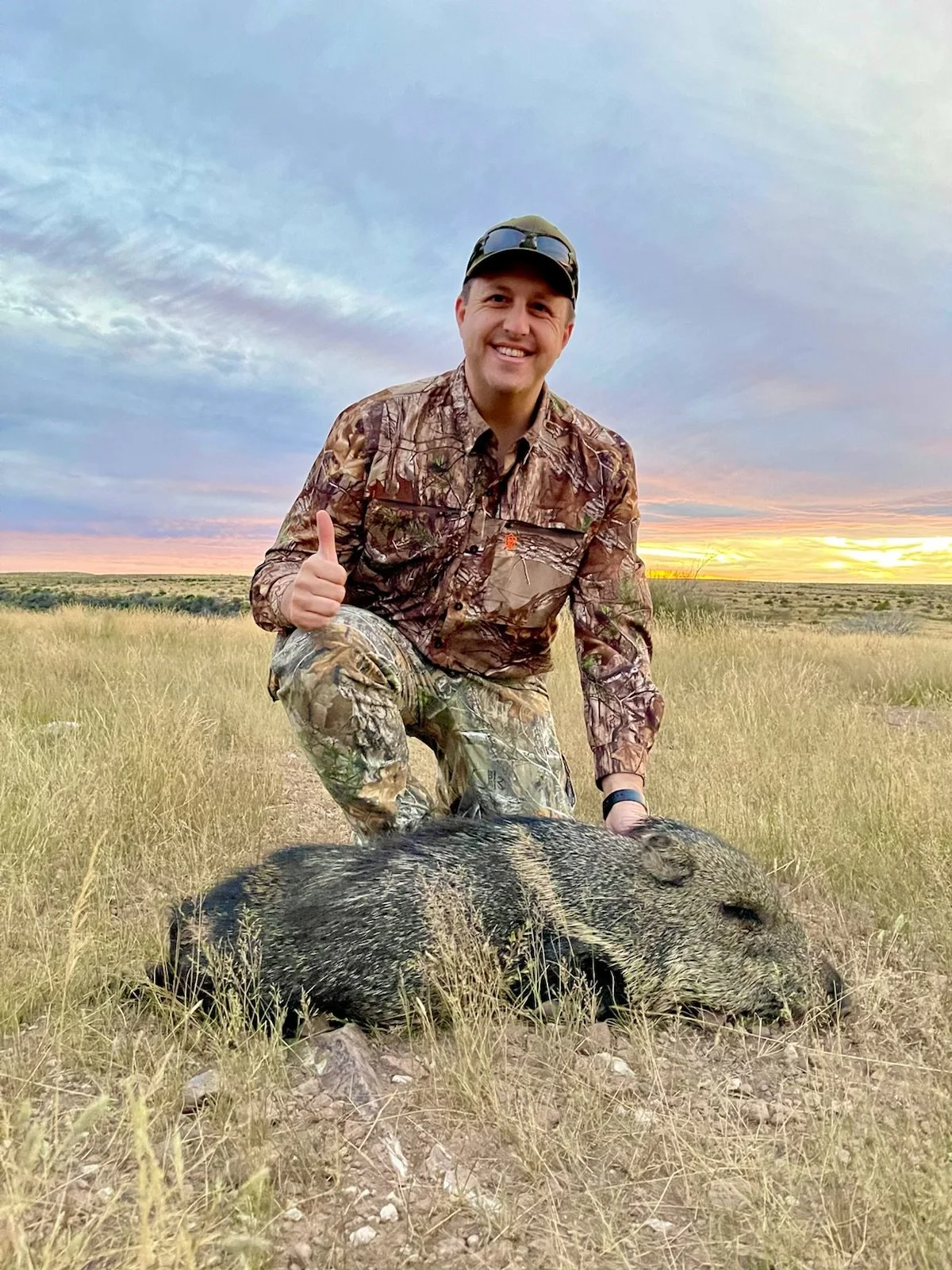 Javelina — El Cielo Hunting Ranch