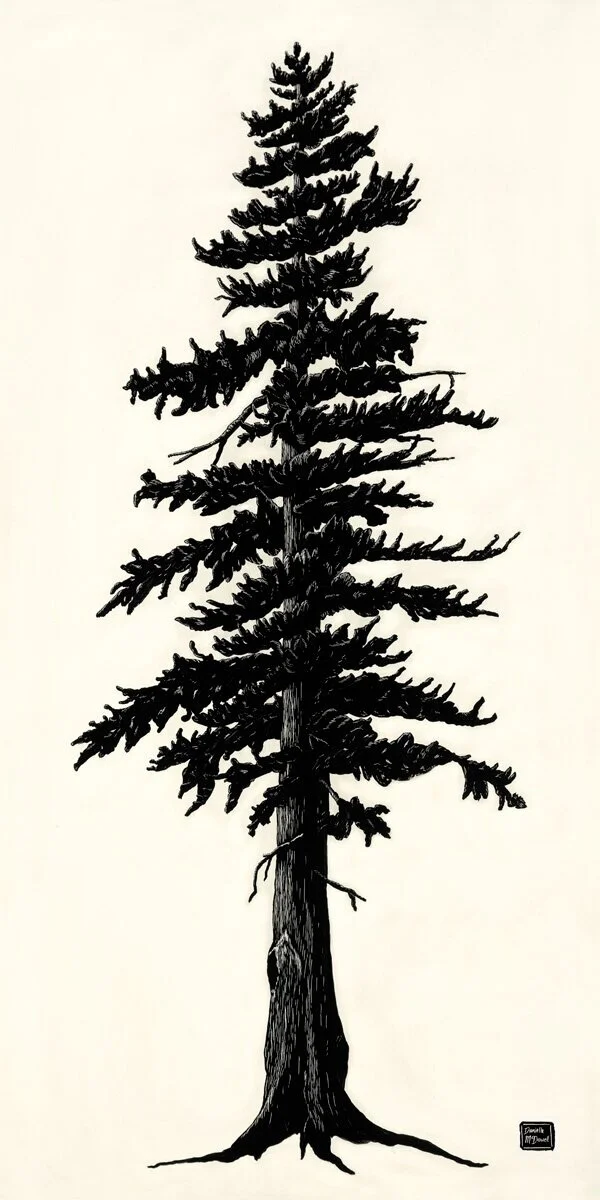 Redwood Tree Silhouette Tattoo