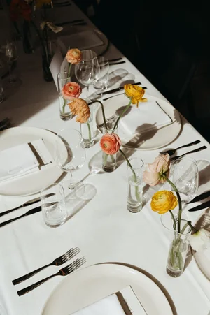Services — Coco & Ash