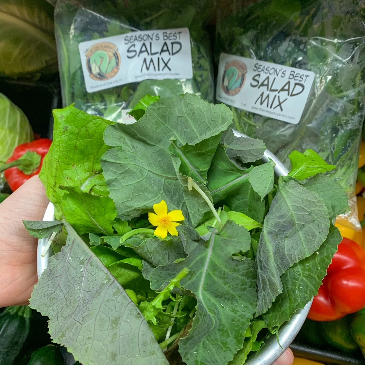 Weekly Specials — Love Whole Foods Cafe & Market