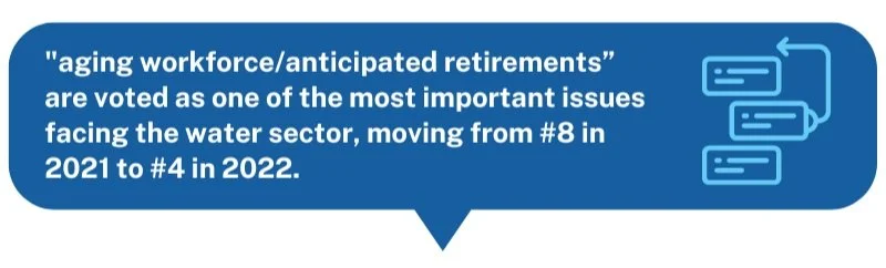 Lucasys — Navigating the Age Wave: The Maturing Workforce in the ...