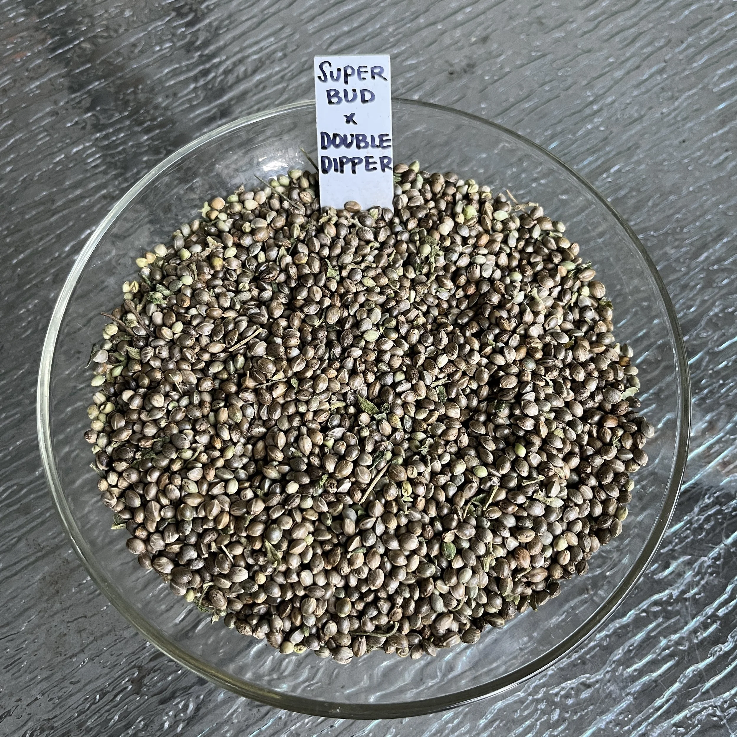 Ed Rosenthals Store — Ed Rosenthal