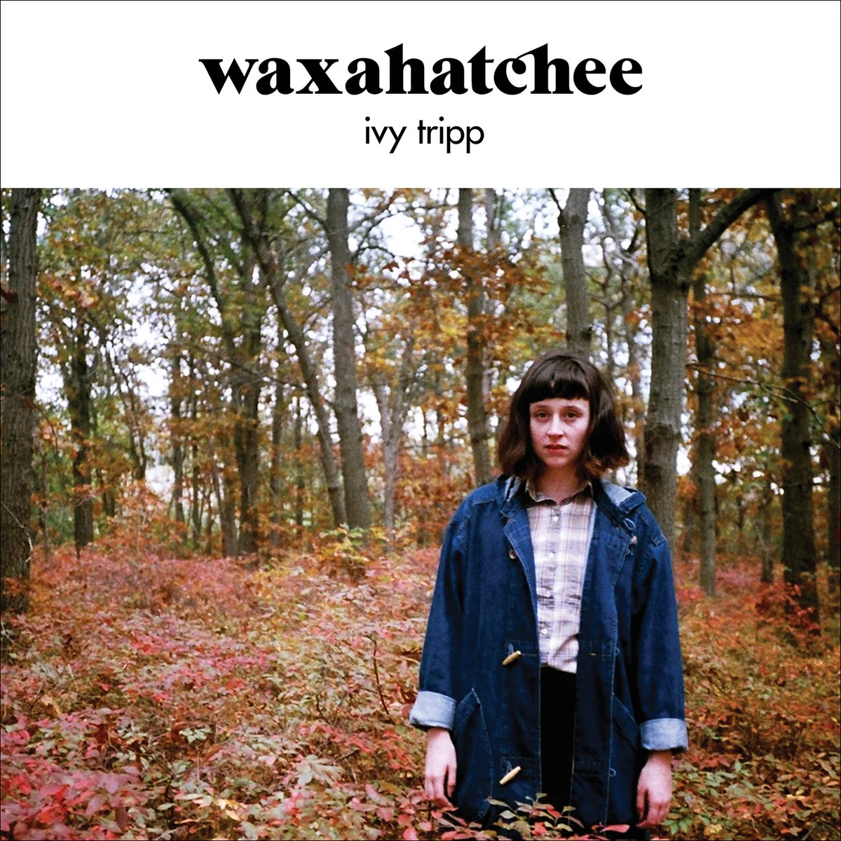 Music — Waxahatchee
