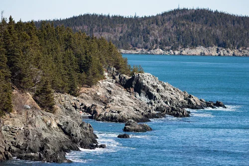Buy Fresh Saltwater (Natural Seawater) | From the Atlantic Ocean | Gulf ...