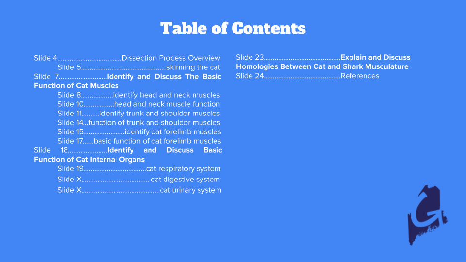 Dogfish Shark Dissection Digestive System