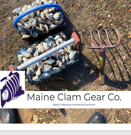 Gulf of Maine, Inc. - FREE SHIPPING | Marine Science, Seaweed