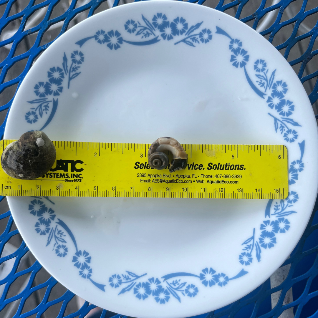 Gulf Of Maine, Inc. | Fresh Wild Harvested Seafood