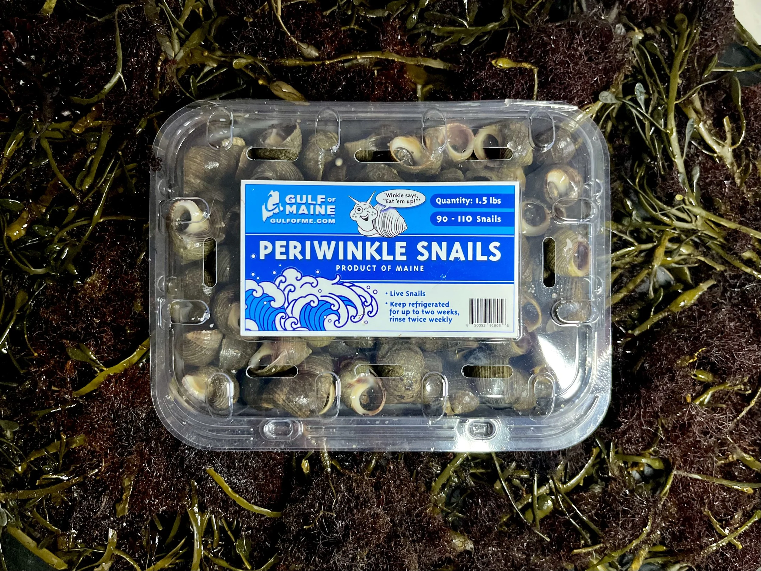 Gulf Of Maine, Inc. | Fresh Wild Harvested Seafood