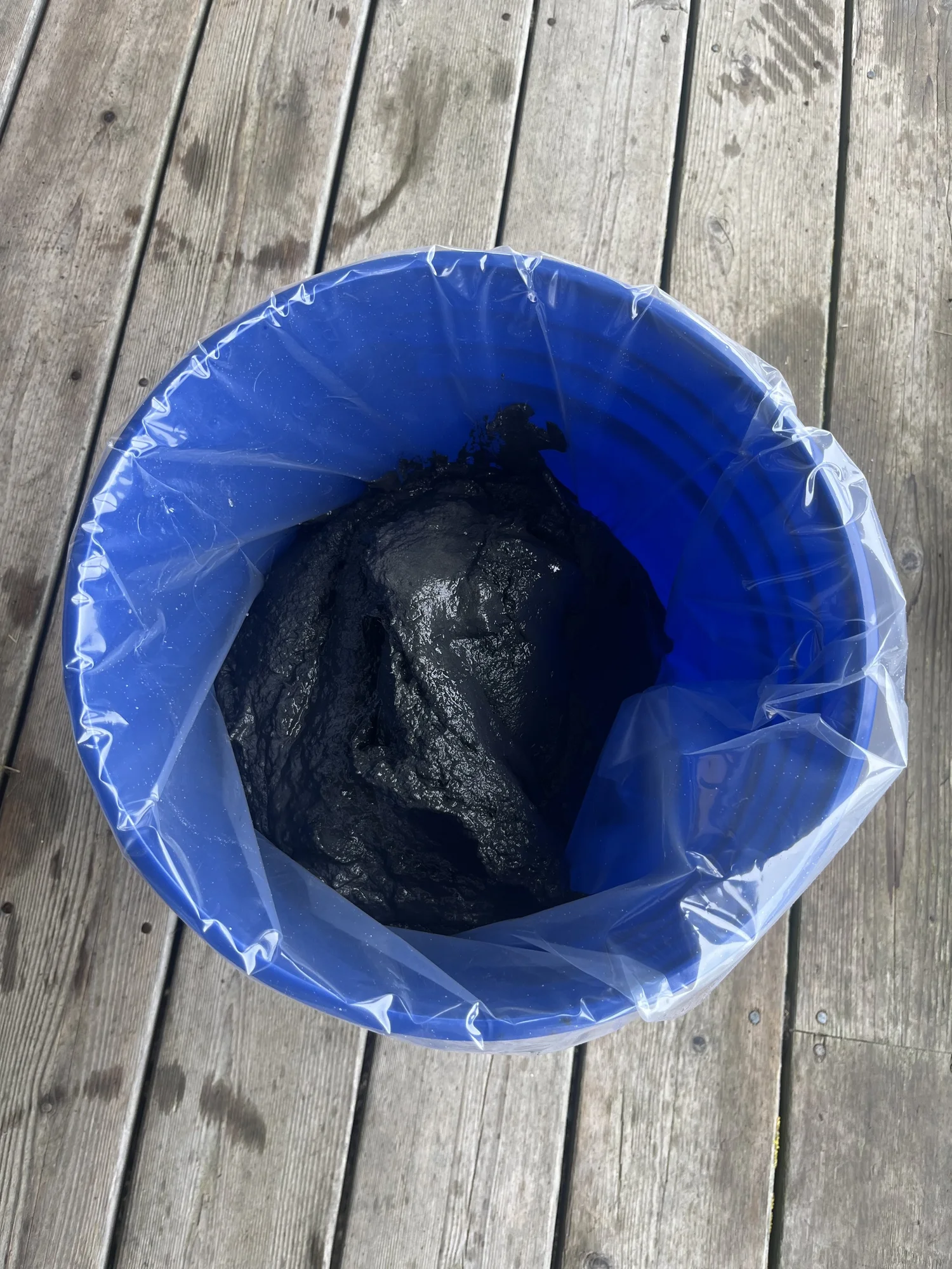 Buy Fresh Saltwater (Natural Seawater) | From the Atlantic Ocean | Gulf ...