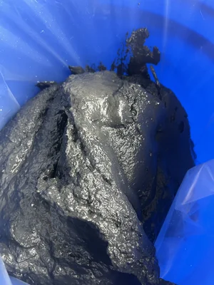 Buy Fresh Saltwater (Natural Seawater) | From the Atlantic Ocean | Gulf ...