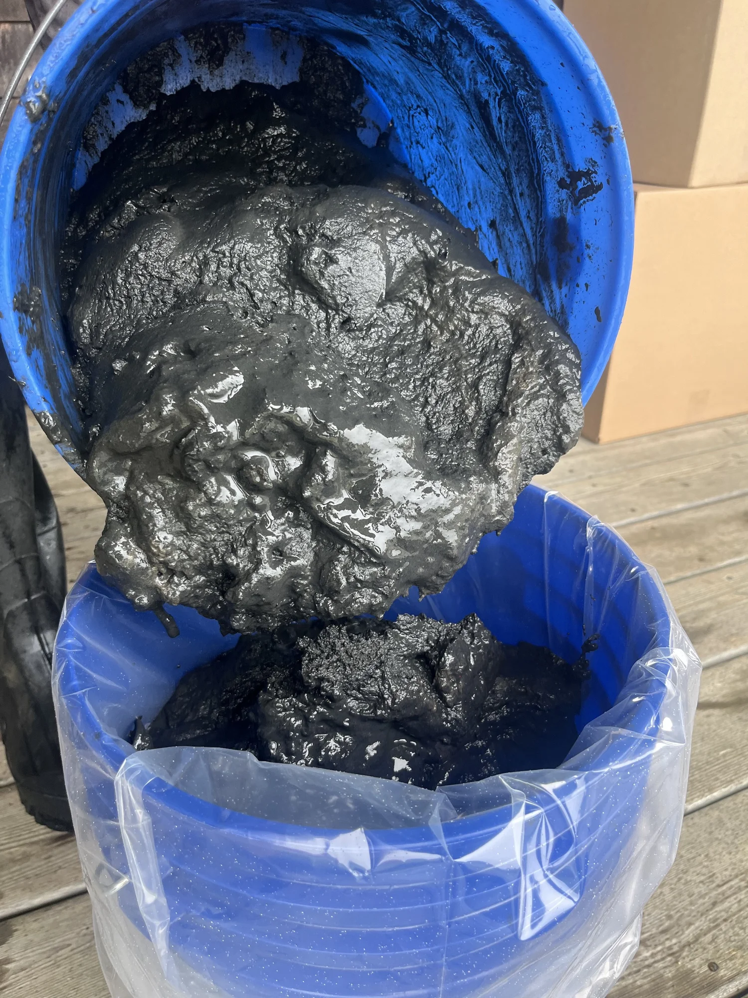 Buy Fresh Saltwater (Natural Seawater) | From the Atlantic Ocean | Gulf ...
