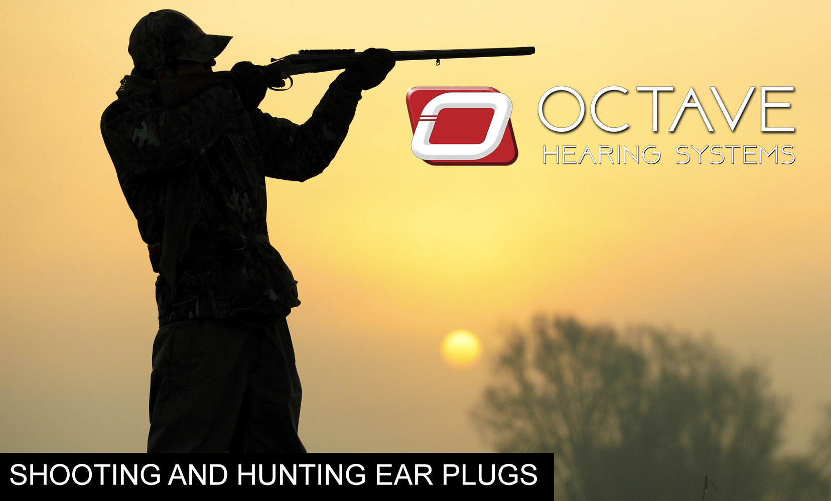 OCTAVE HEARING SYSTEMS