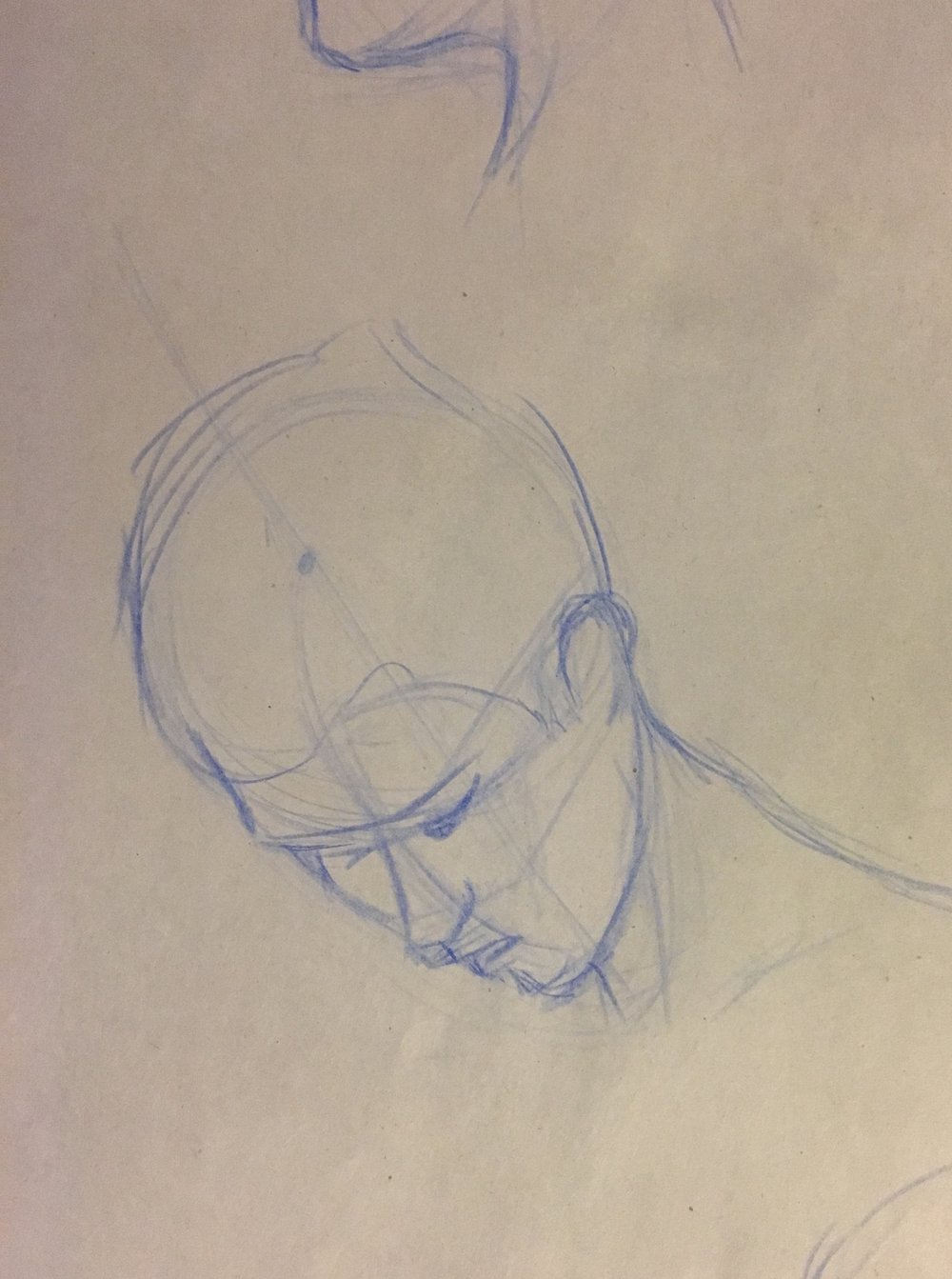 Traditional Studies — Mitchell Snary