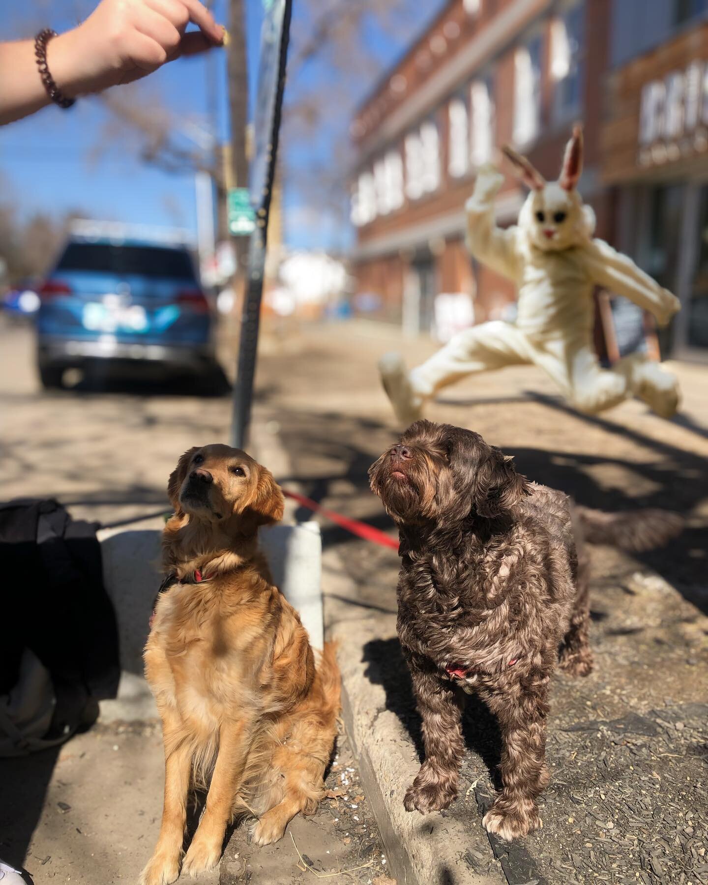 Odd Company - Good Cheer Better Beer