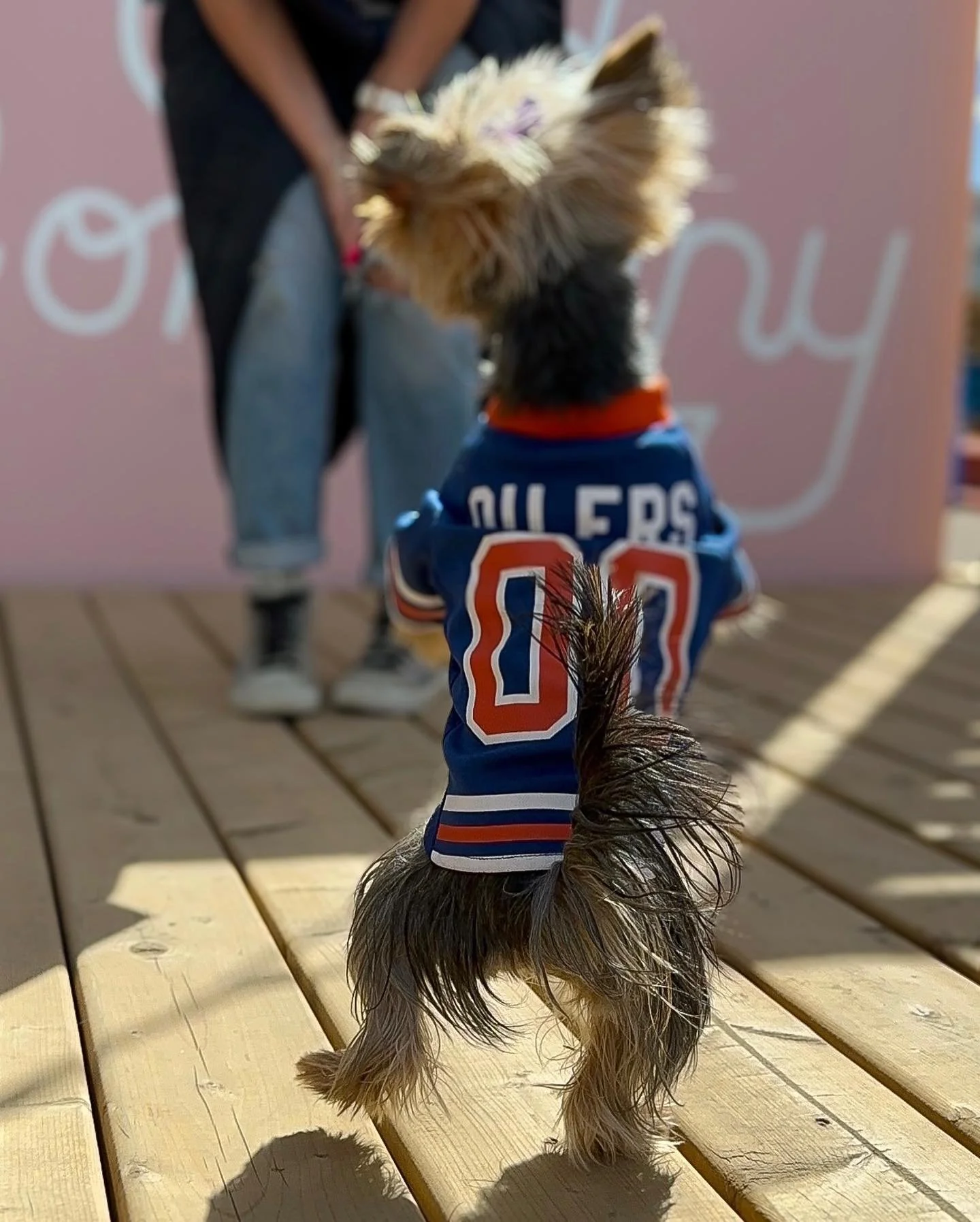 Odd Company - Good Cheer Better Beer