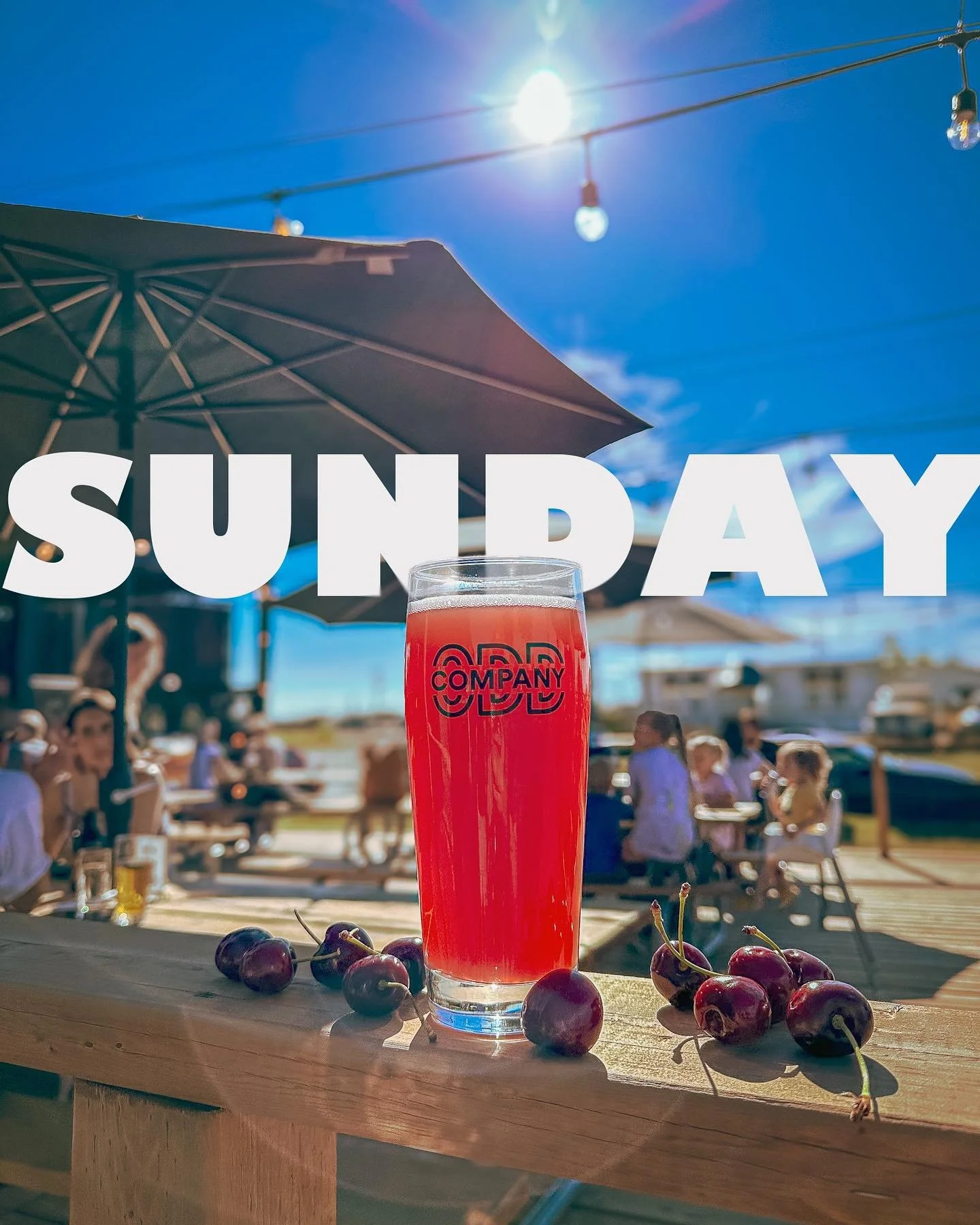 Odd Company - Good Cheer Better Beer