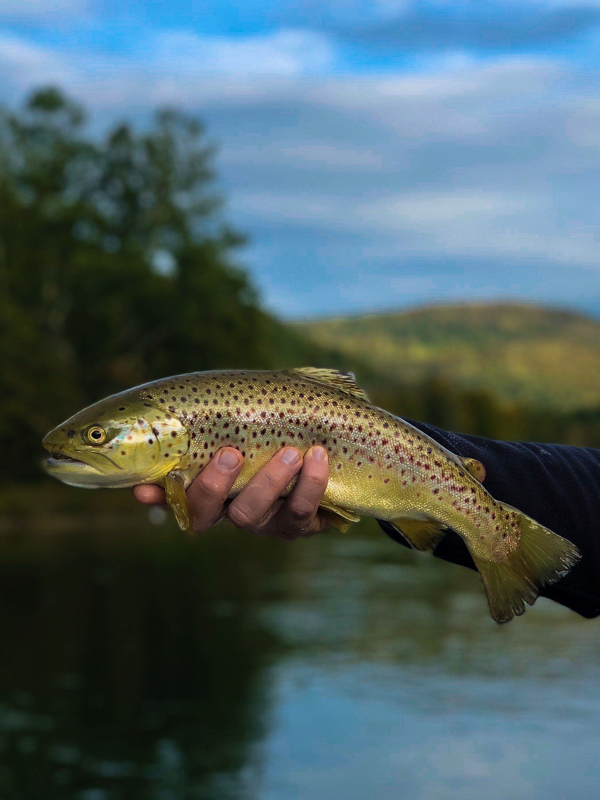 Fishing — ROSCOE, NY